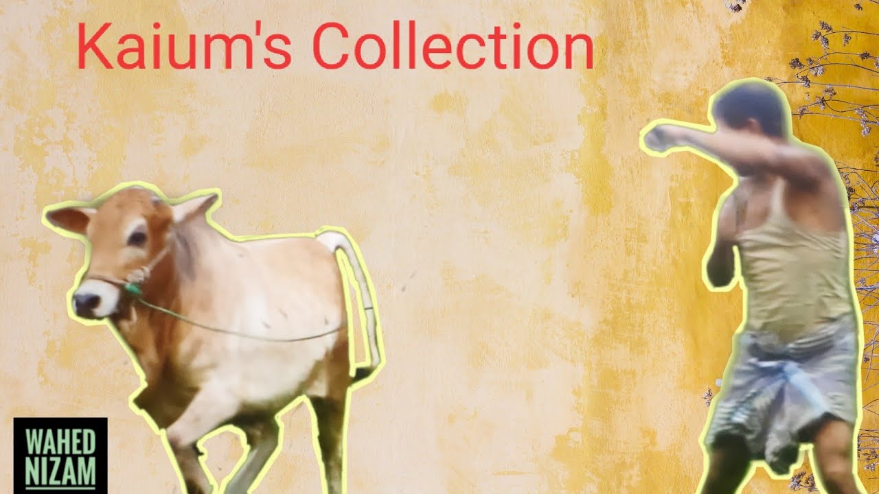 KAIUM'S COLLECTION #2020 #EXCLUSIVE # SMALLIE - YouTube