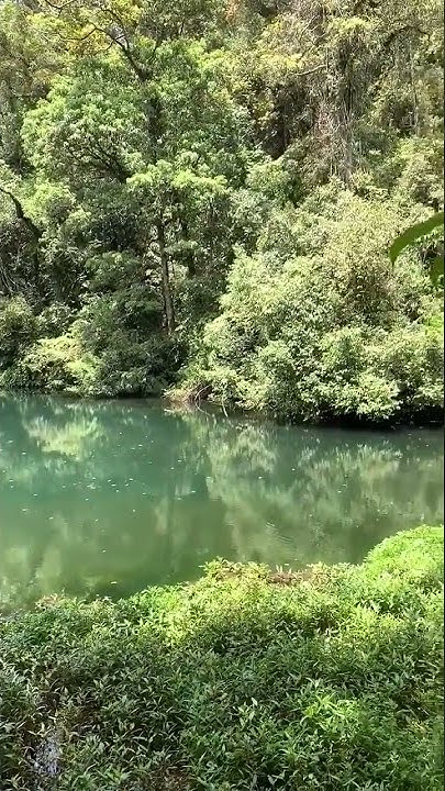 TELAGA BIRU GUNUNG GEDE PANGRANGO - Pengen Jalan Mulu - YouTube