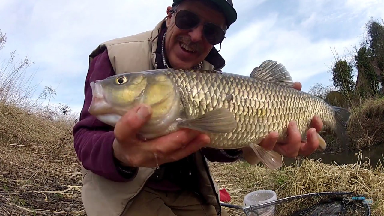 Solo Fishing Alone on a River (TRADITIONAL FLOAT FISHING) - YouTube