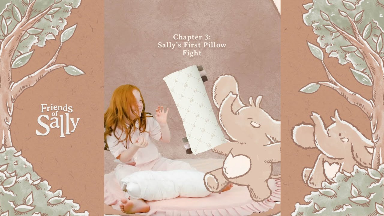 Friends of Sally - Chapter 3, Sally's First Pillow Fight - YouTube