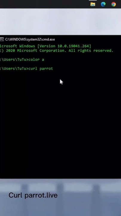 Esay Parrot Animation In Cmd Cmd Tricks Part 1 Subscribe Shortsfeed Youtube