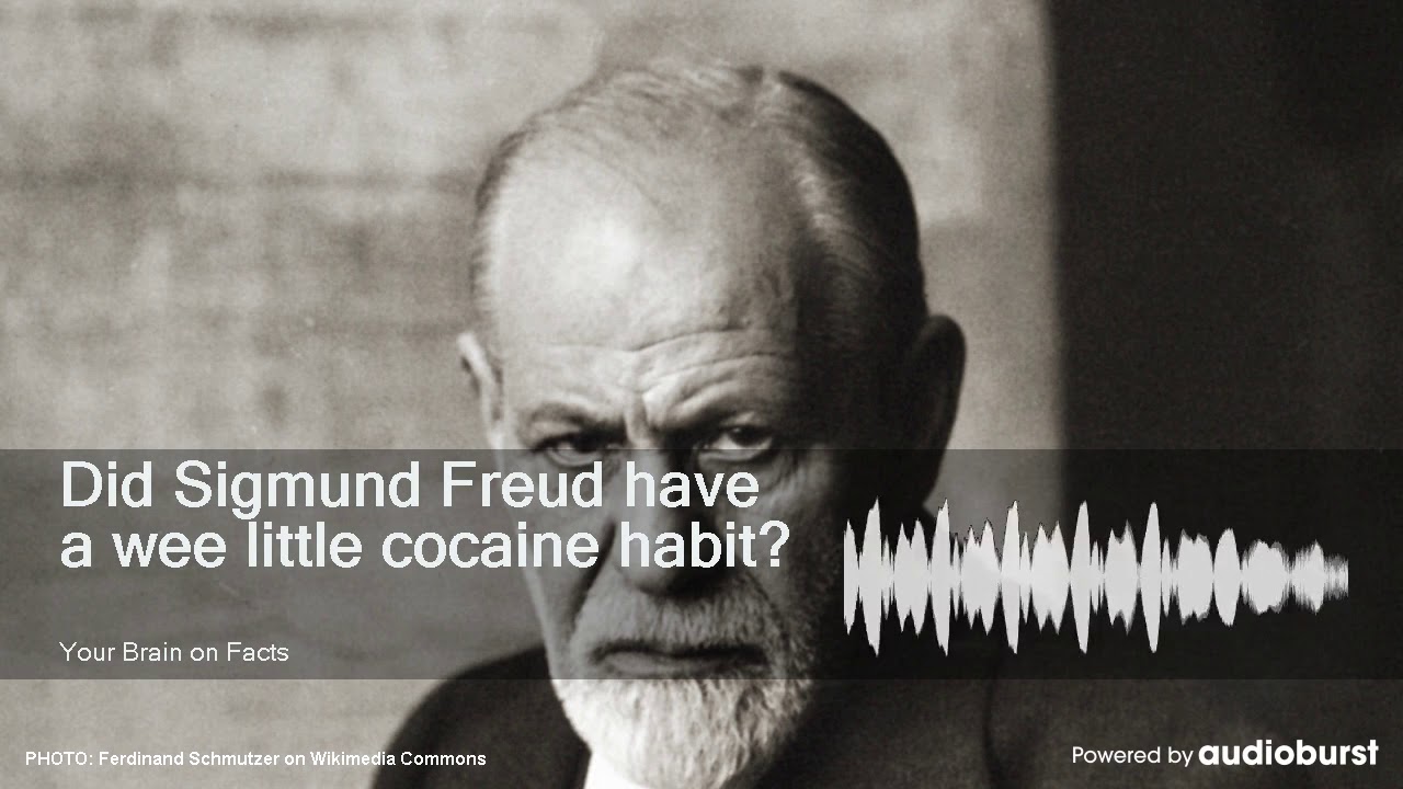 Did Sigmund Freud have a wee little cocaine habit? - YouTube
