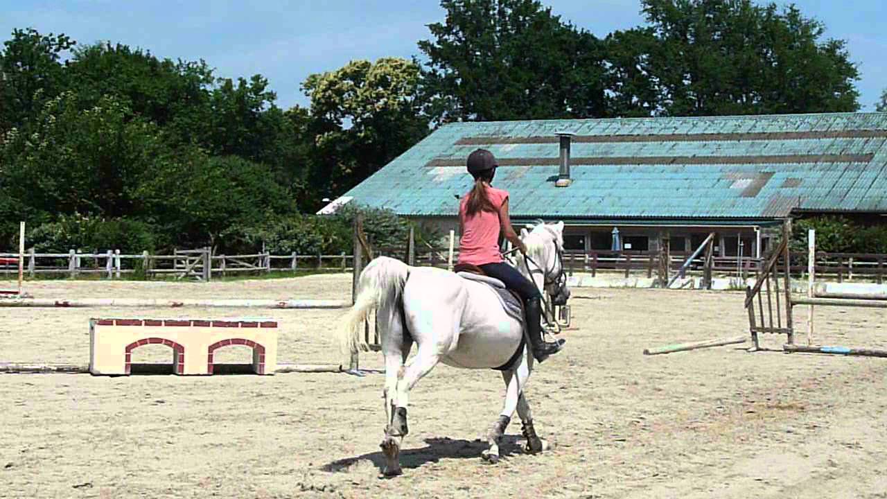 Chute de cheval: panache! Fall horse! Elle tombe avec le cheval en ...
