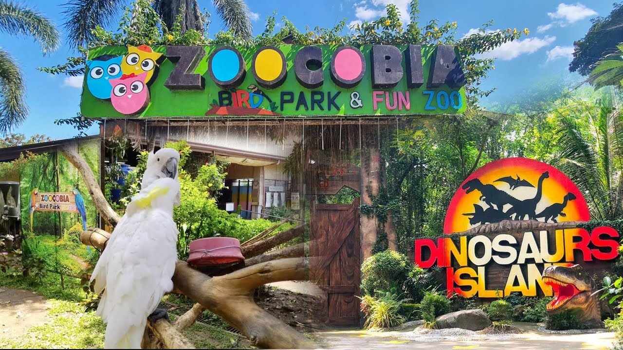 DINO ISLAND and ZOOCOBIA Fun Zoo Theme Park! - YouTube