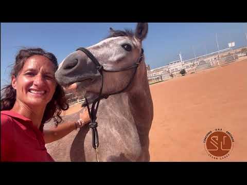 Melting pot of work with  lily sugar dédé 30 march 2025