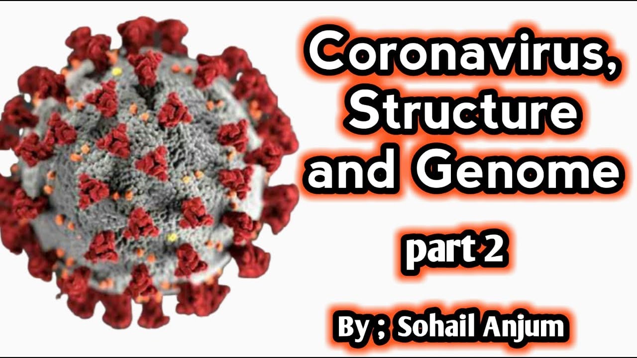 Structure and Genome of Coronavirus Part 2 - YouTube