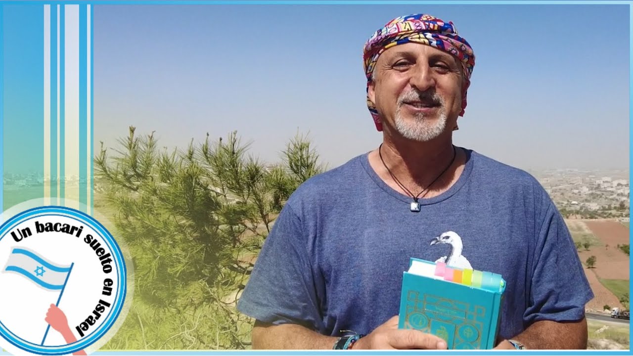 El biblico desierto Zif de Israel: donde el rey Saúl persiguió a David ...