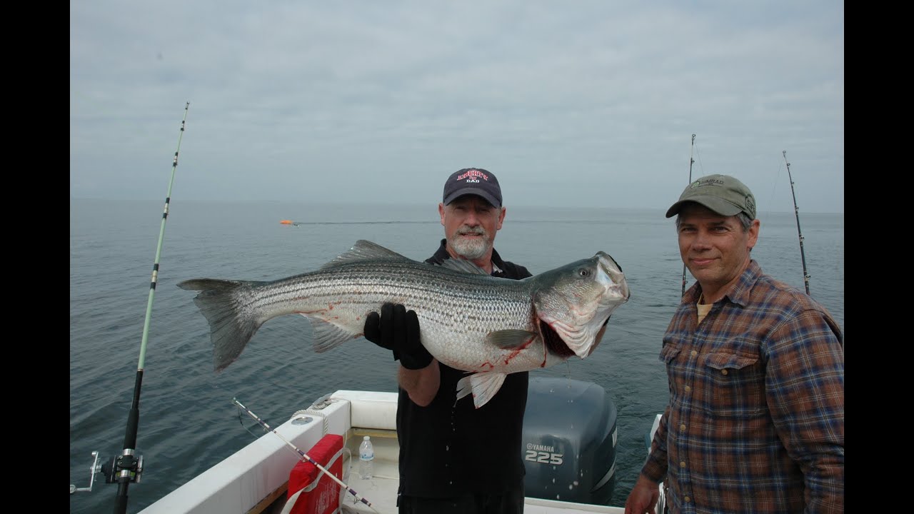 Spring Rock Fishing 2016 - YouTube