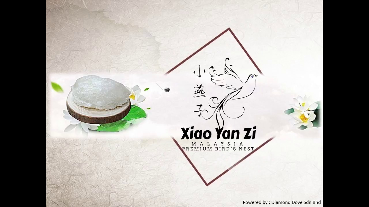 Xiao Yan Zi Premium Bird's Nest Introduction - YouTube