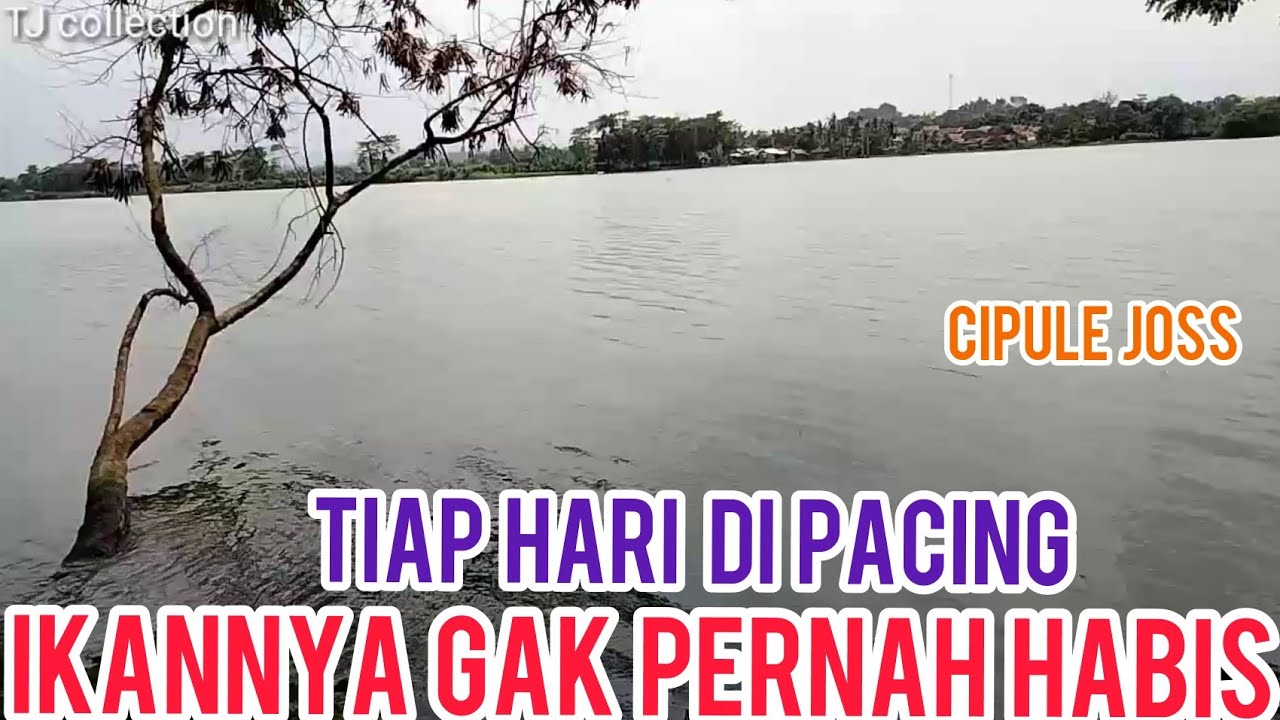 Spot mancing situ cipule-KARAWANG@TJcollection520 - YouTube