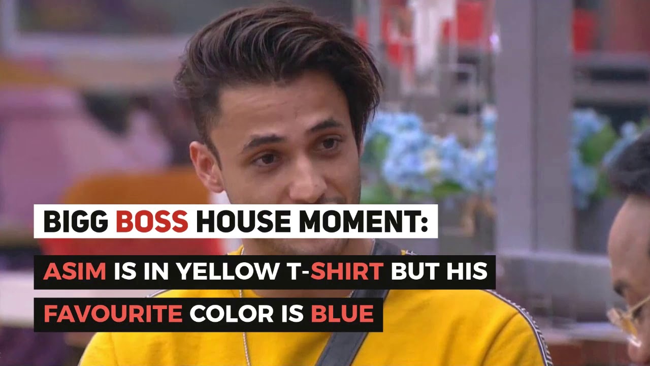 Asim Biography | Bigg Boss 13 | When Asim Met Himanshi | Asim Ne ...