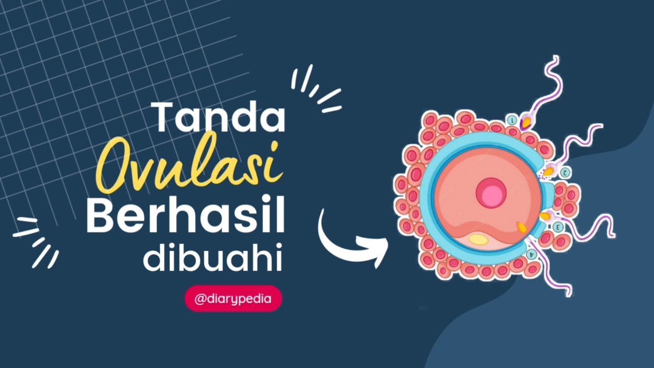 Tanda Ovulasi Berhasil Dibuahi - YouTube
