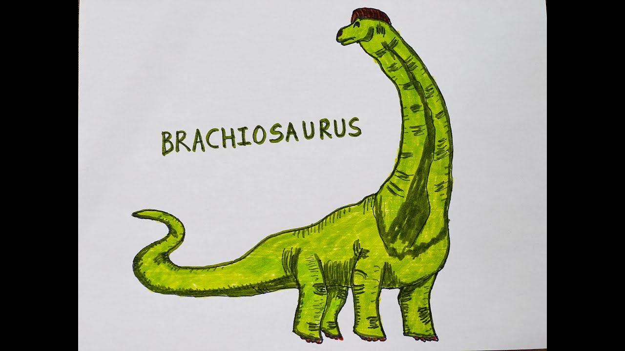 How to Draw & Color Brachiosaurus #kidsdrawing #learntodraw # ...