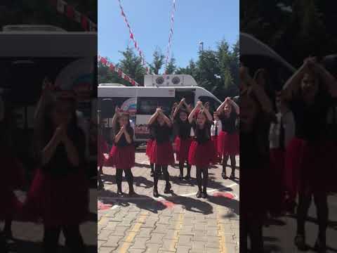 Çek Tulumbayı