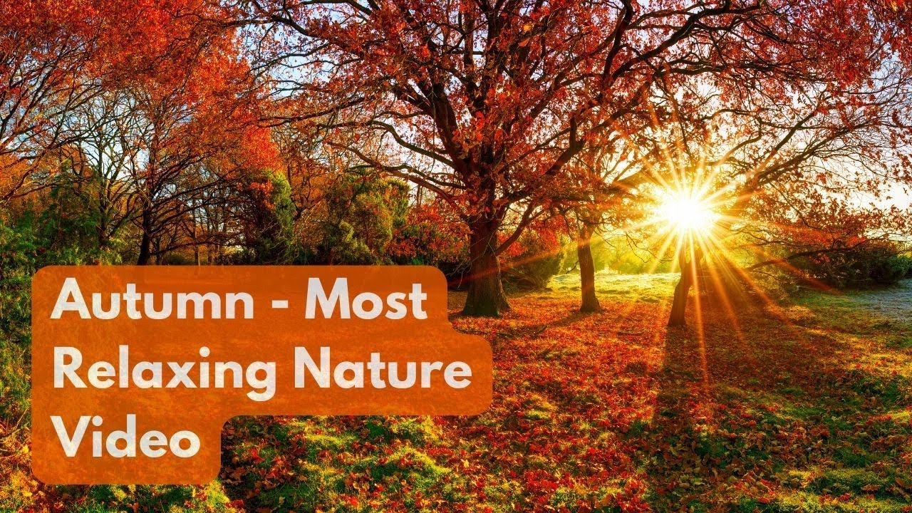 Autumn - Relaxing Nature Video with Music - YouTube