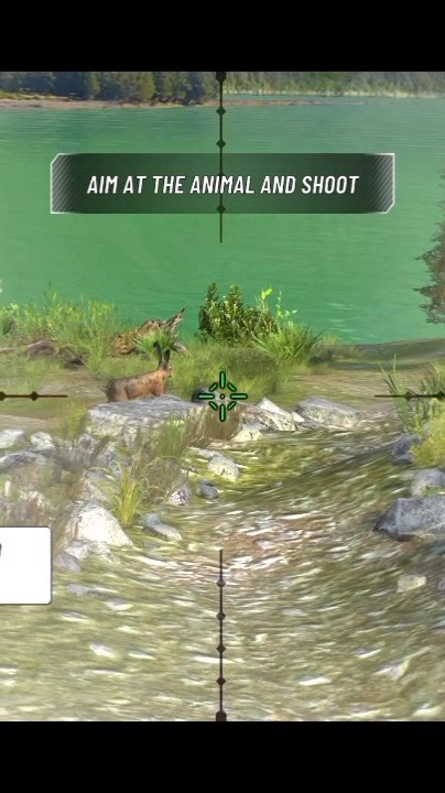 Aim at animal and shoot - YouTube