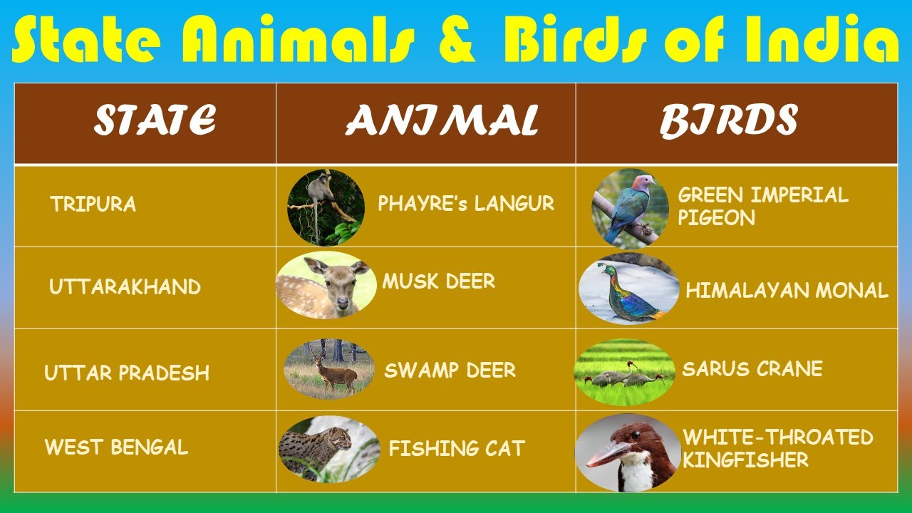STATE ANIMALS AND BIRDS OF INDIA|LIST OF 28 STATES & 8 UNION ...