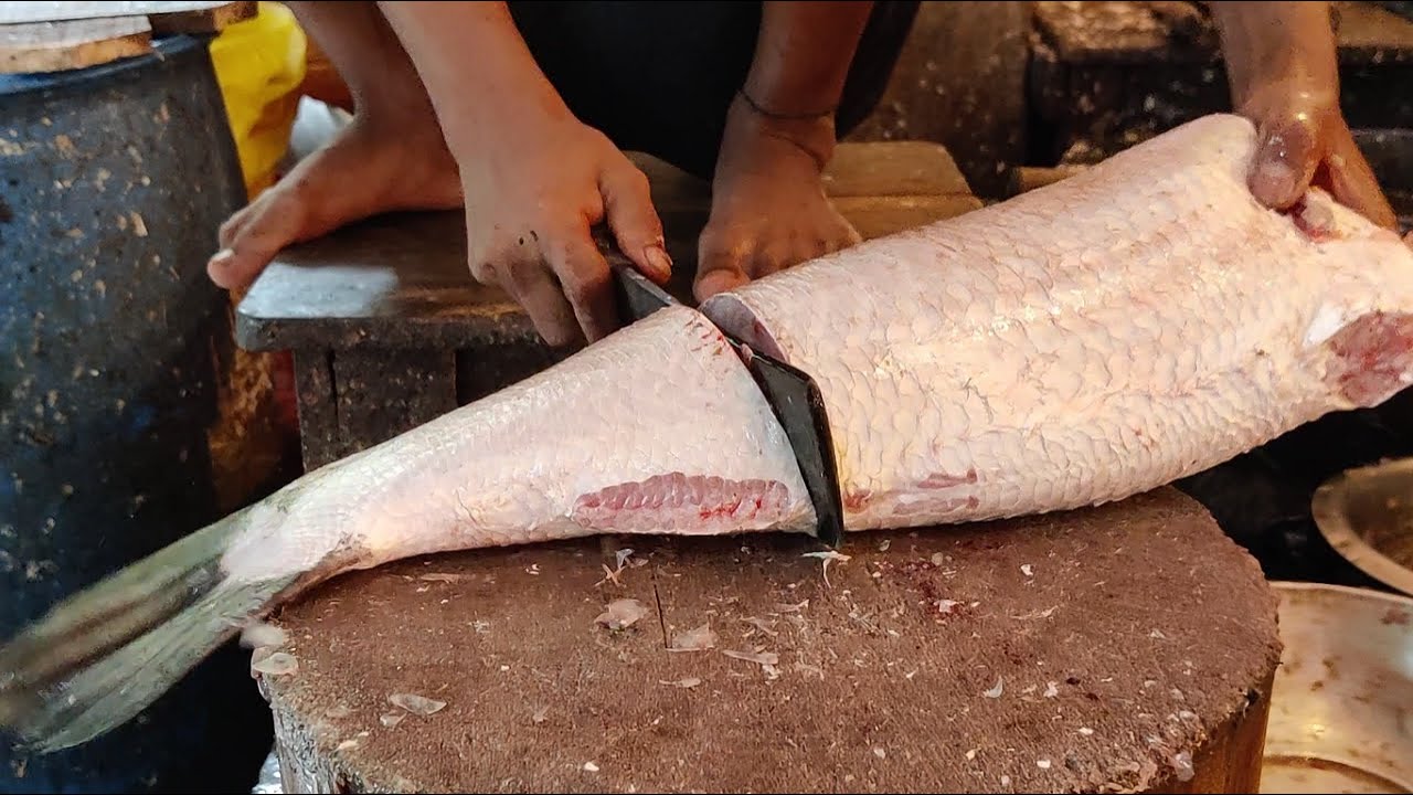 Amazing Fastest Big Bhetki Fish Cutting In Bangladesh || Fish Cutting ...