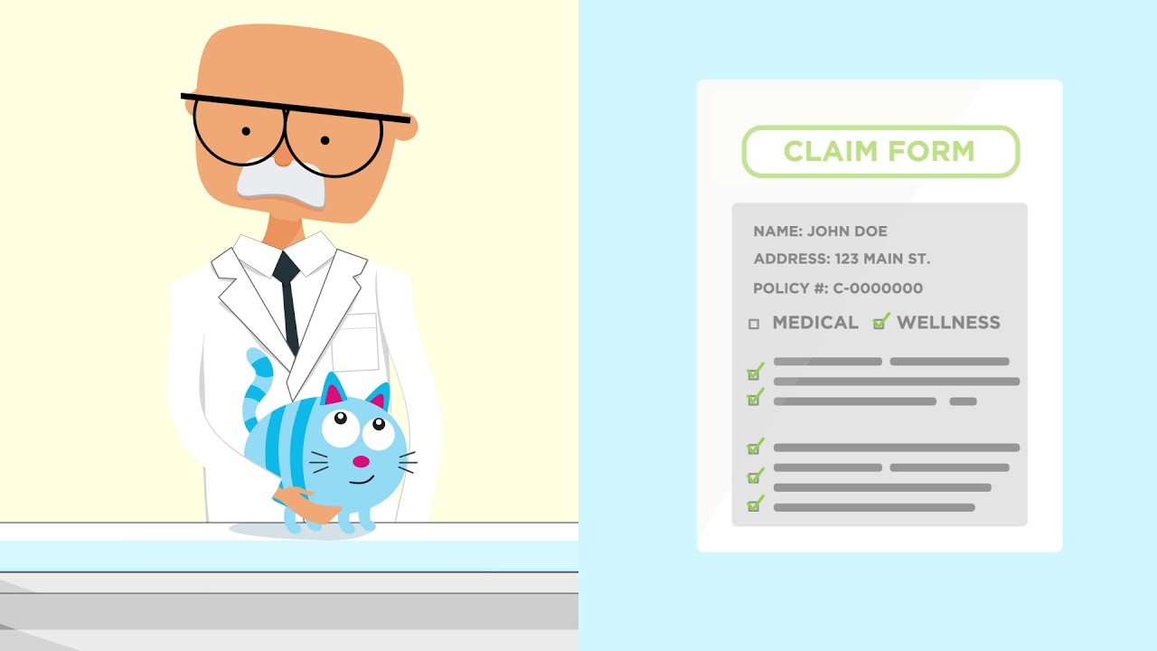 PUG 02 How Do I File A Claim YouTube pug-02-how-do-i-file-a-claim-youtube