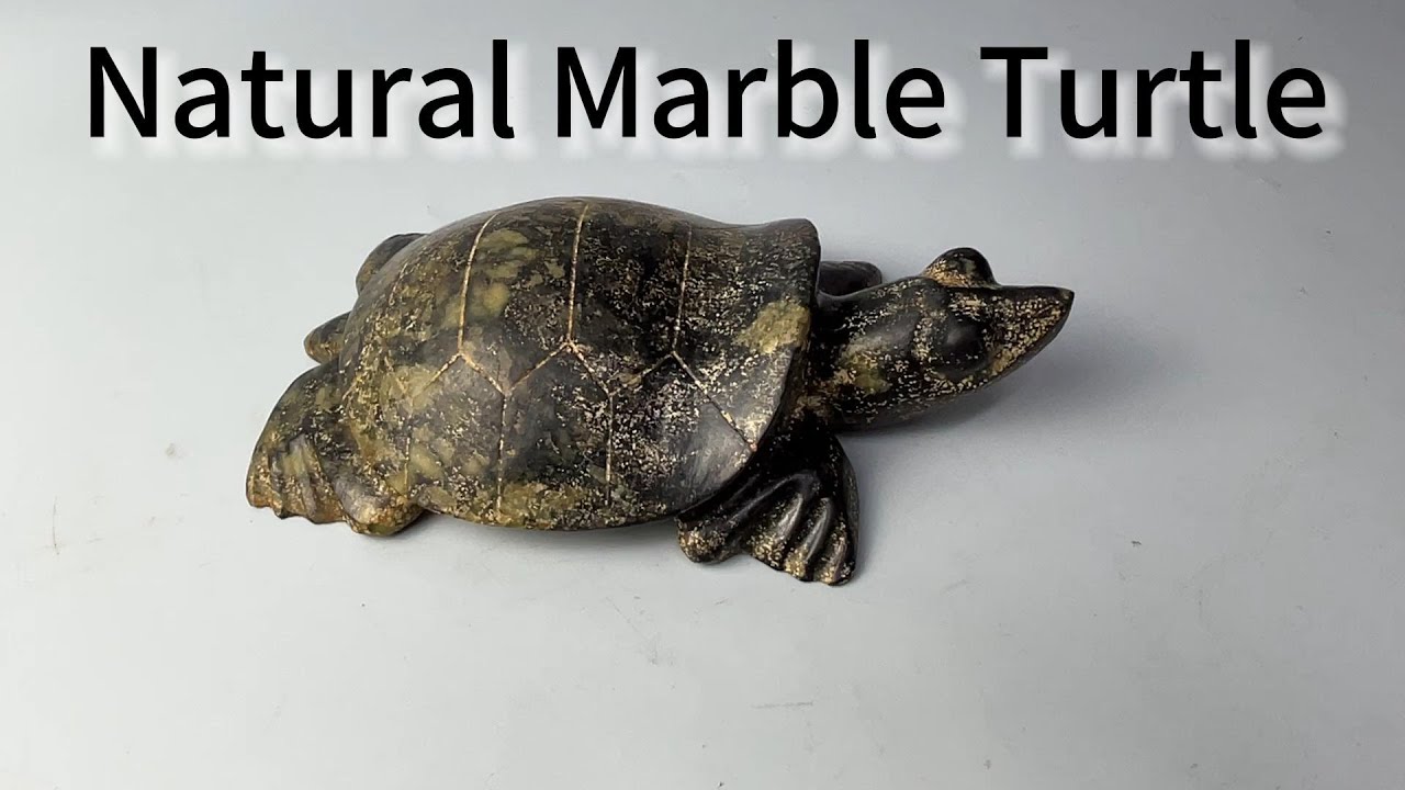 marble stone turtle - YouTube