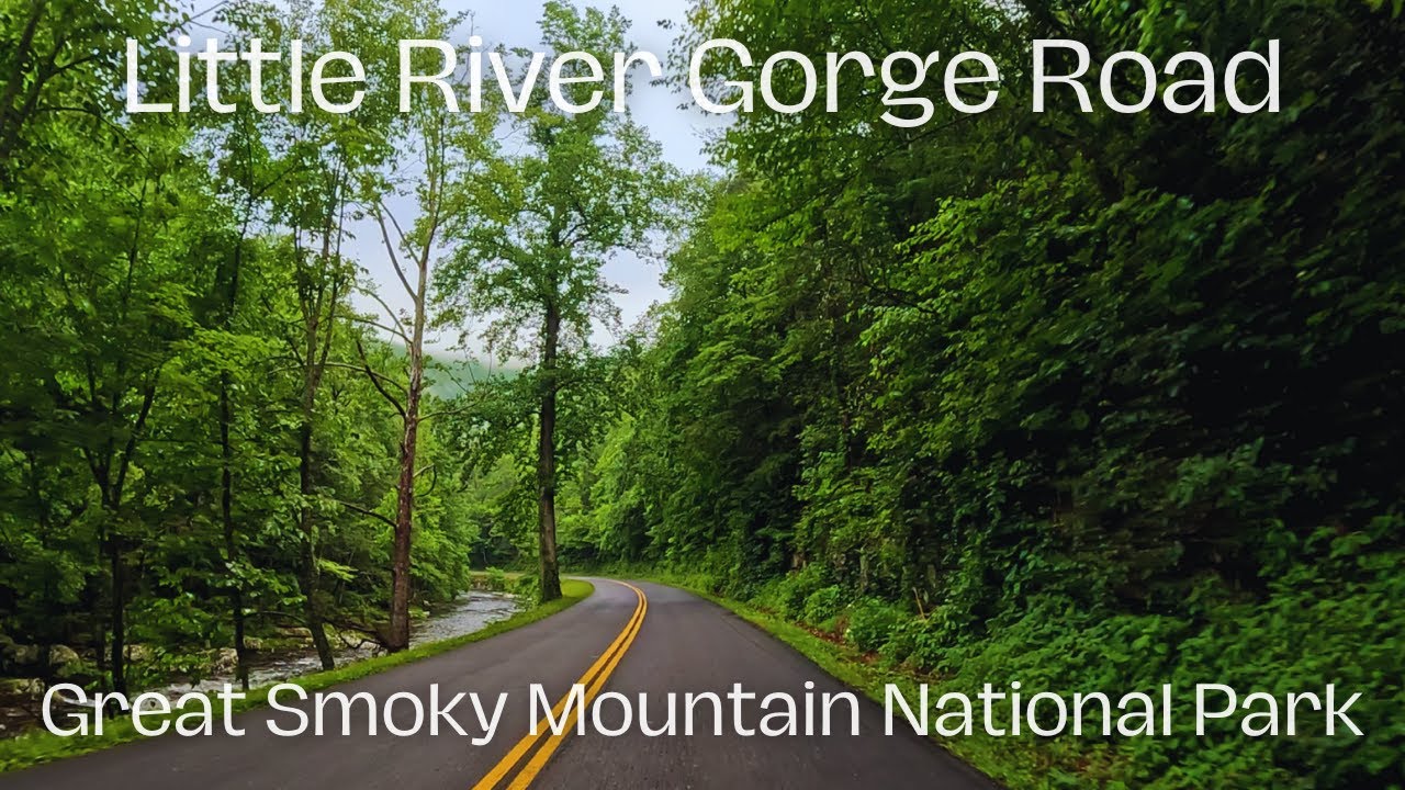 Driving Little River Road | Waterfalls & River Views GSMNP in 4K - YouTube