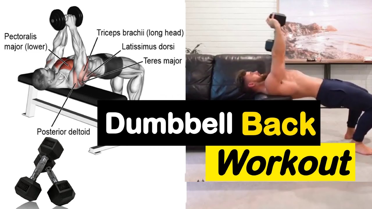 Best Back Exercises at Home | Back Workout at Home - YouTube