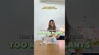How to “ACCIDENTALLY” Grow TOO MANY PLANTS 🌿#shorts #plants #houseplants #indoorplants #propagation