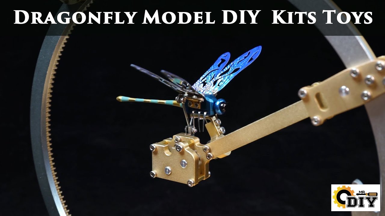 3D Metal Dragonfly Model DIY Assembly Kits Toys - YouTube