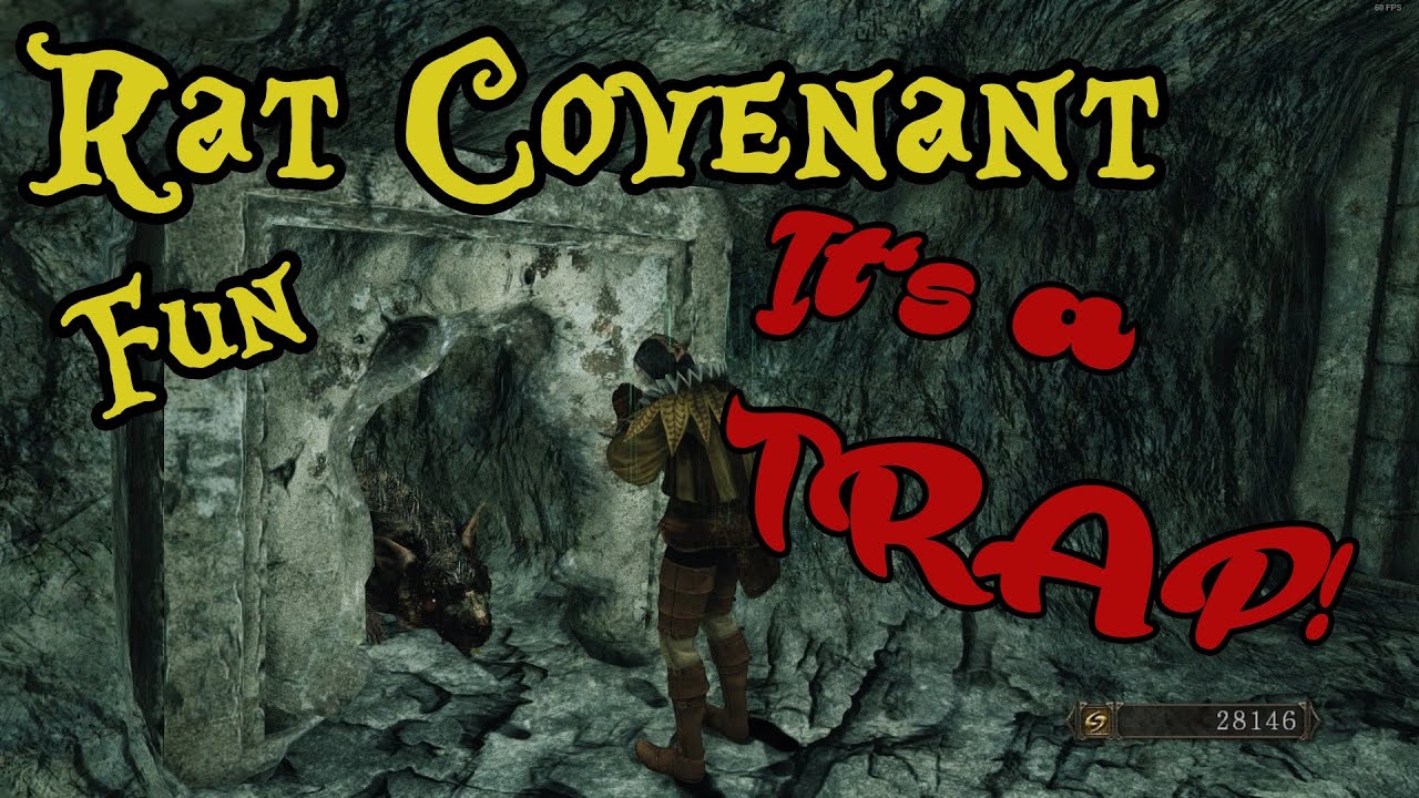 Dark Souls 2 - Rat Covenant - The Villain - YouTube