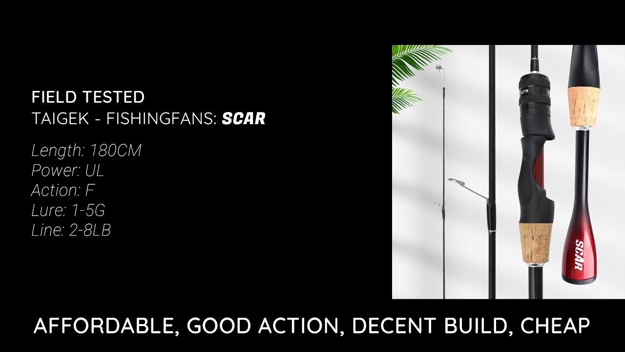 Field test: SCAR - Cheap Rod From TEMU - YouTube