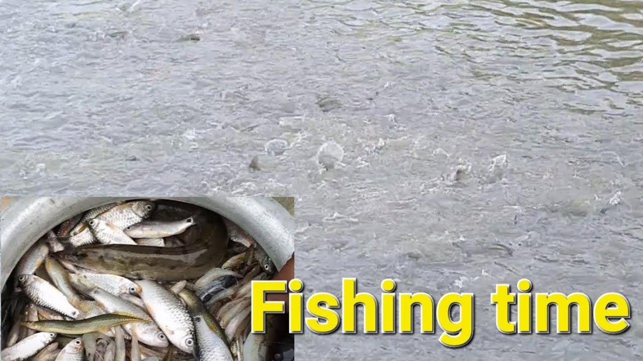 How to feeding fish 🐟 | Fishing Time - YouTube