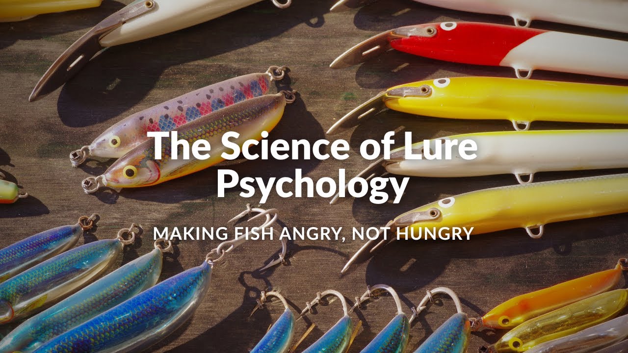 The Science of Lure Psychology — Making Fish Angry, Not Hungry - YouTube