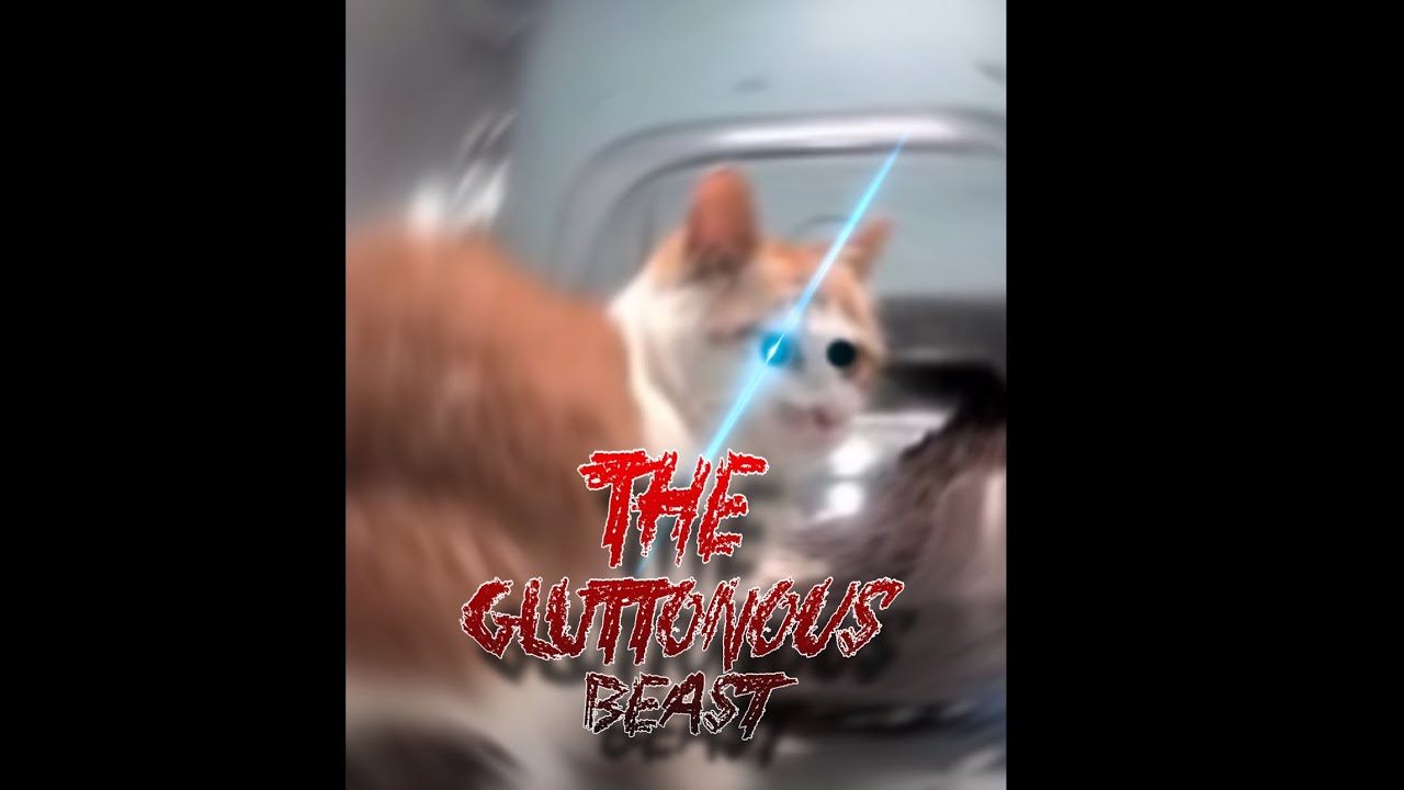 [{ THE GLUTTONOUS BEAST]} eats for 24 minutes - YouTube