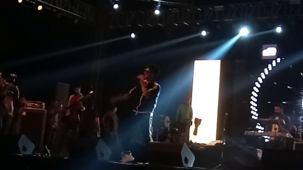 Hardy Sandhu Concert at Ambala India(1) - YouTube