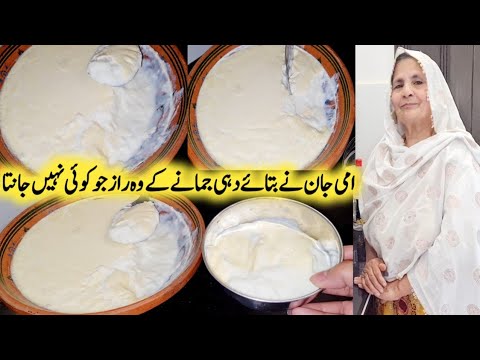 Dahi Jamane Ka Tarika || Moti Malai Wala Dahi || Thik Dahi Recipe By ...