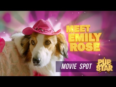 Emily Rose Broken Hearted Lyrics/pup star