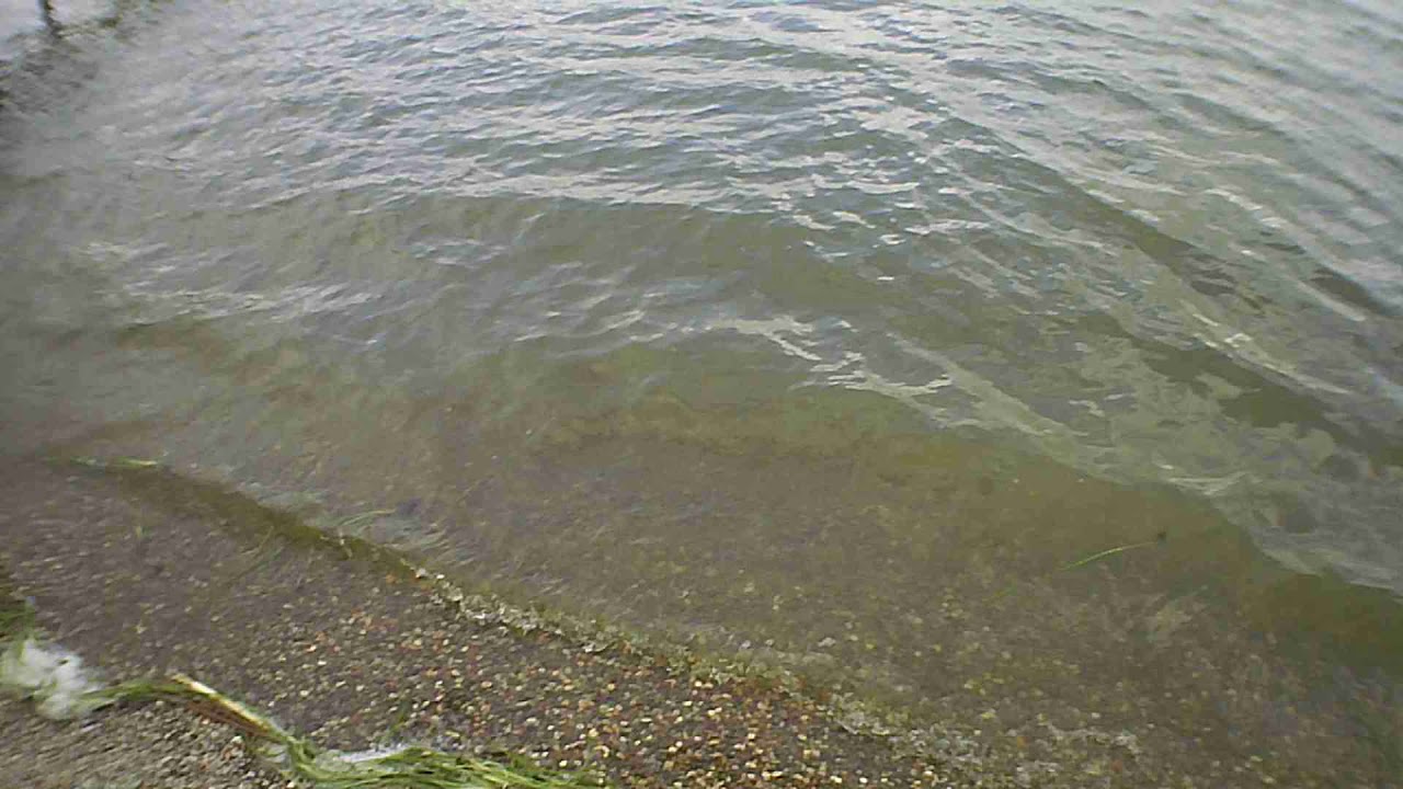 WATER TEST Generplus 4K cam - YouTube