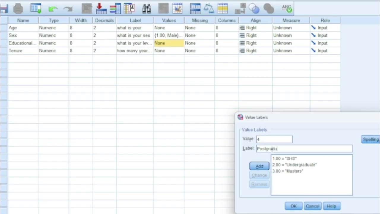 SPSS Beginner Tutorial: Data Entry, Importing & Setting Up Questionnaires - YouTube