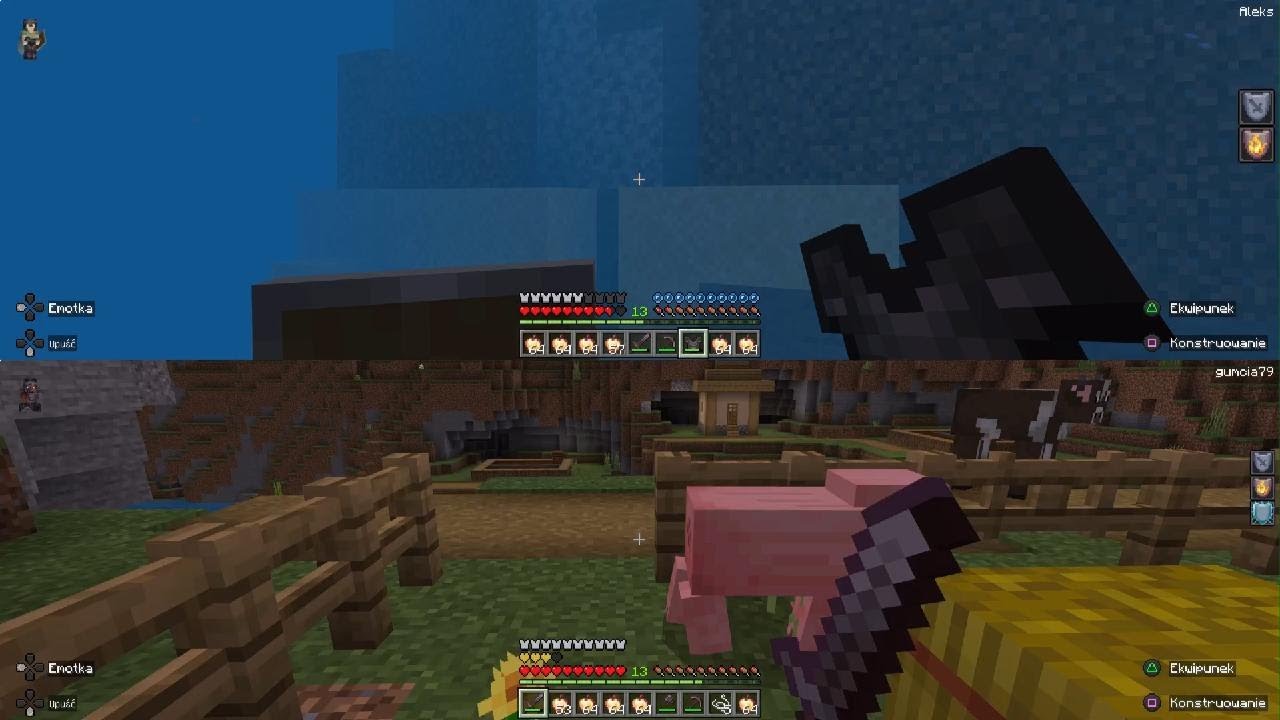 Minecraft Aleks i Mikołaj - YouTube