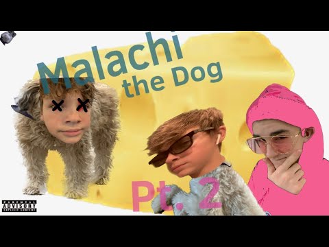 Malachi the dog pt. 2 - YouTube