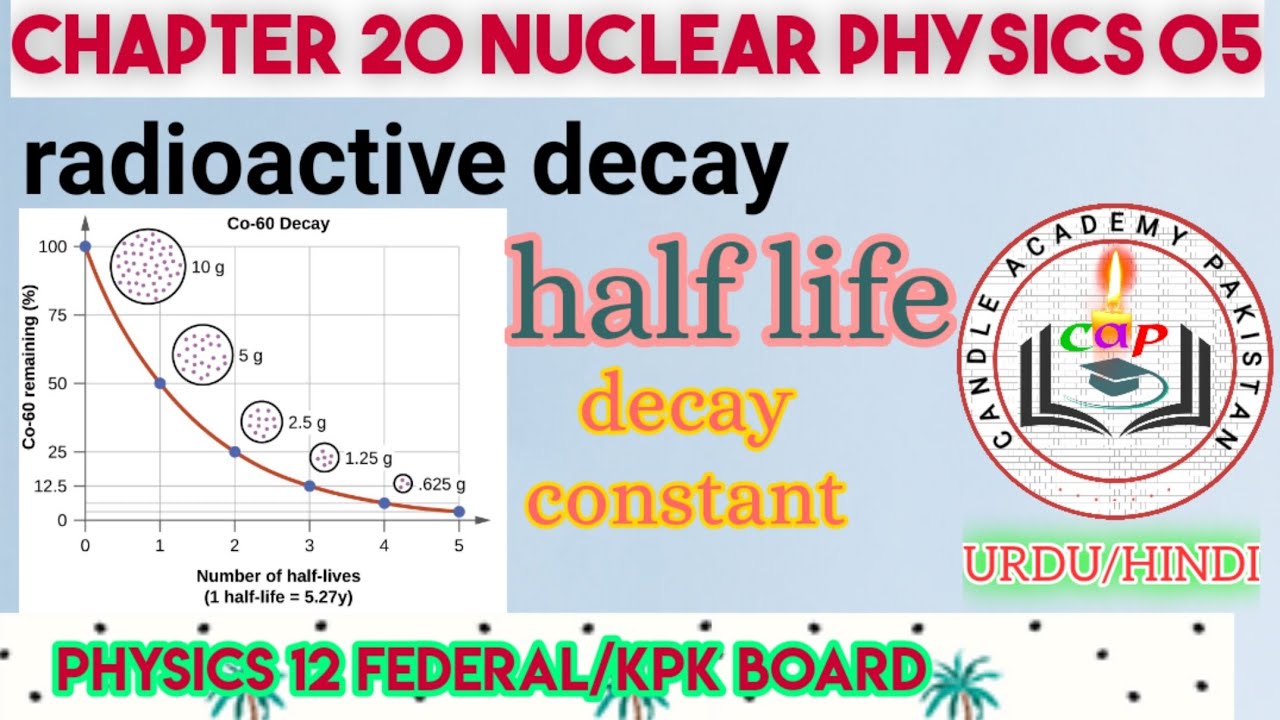 half life and radioactive decay | Nuclear Physics 05 | class12 physics ...