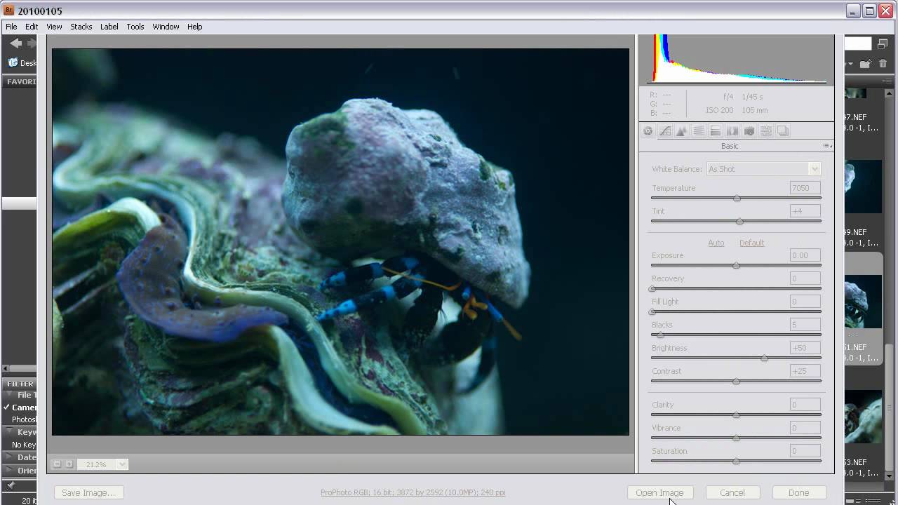 Reef Tank Photography : Setting White Balance in Photoshop - YouTube