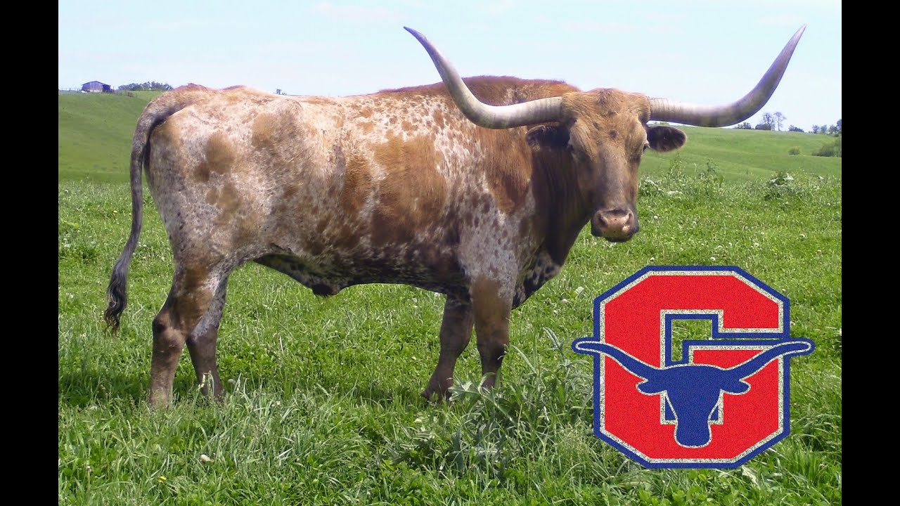 COUNTDOWN TO TWO-A-DAYS: The Graham Steers ... nine days to two-a-days ...