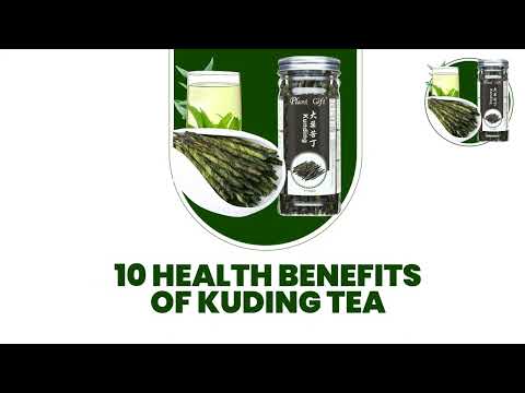 10 AMAZING HEALTH BENEFITS OF DRINKING KUDING TEA. - YouTube