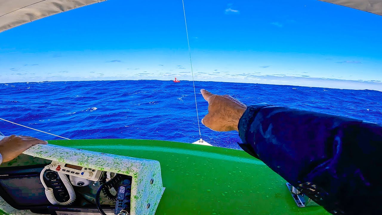 400 Pounds of Fish off This Bird Pile! Fishing in Hawaii - YouTube