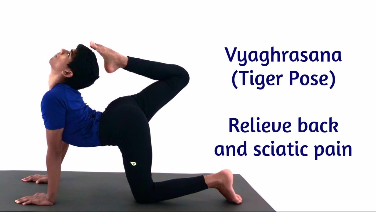 Vyaghrasana (Tiger Pose)- Relieve back and sciatic pain - YouTube