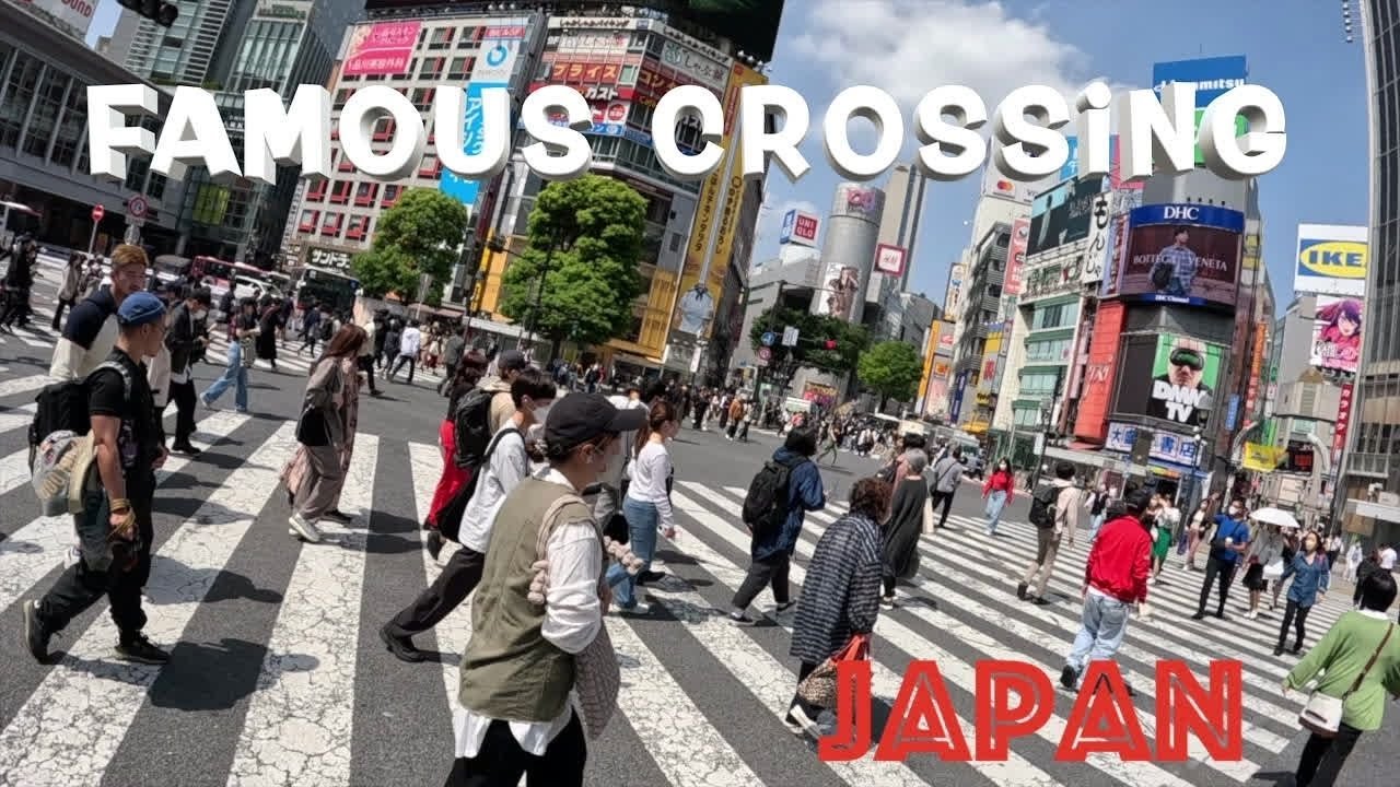 Vlog 20 - First time crossing in Japan #wanderlust #travel #Japan # ...