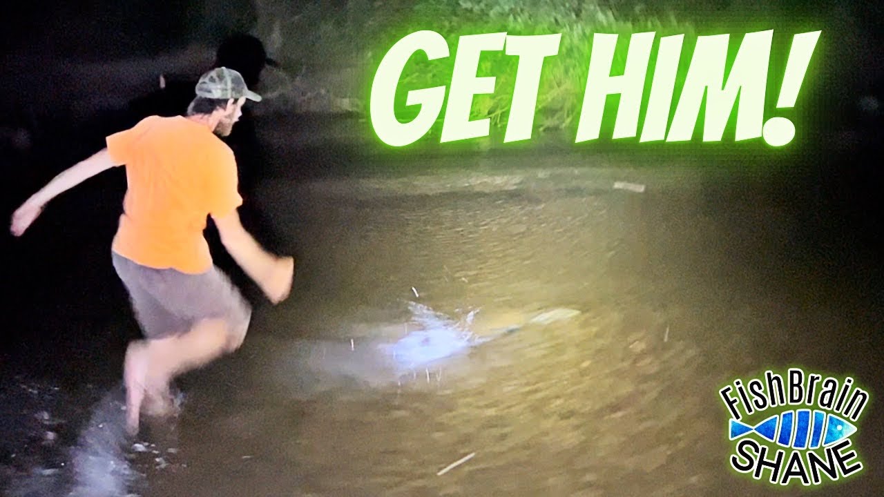 RUNNING 🏃‍♂️ FOR GIANT CATFISH & STURGEON‼️ (fishing in shallow water ...