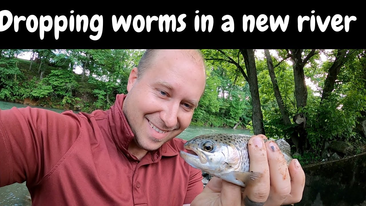 5 species hour on the Spring River Ar - YouTube