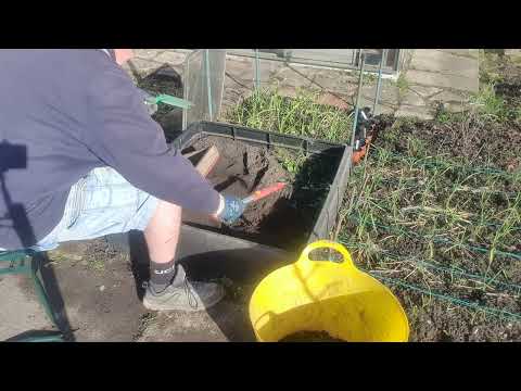 Planting Radish seeds and preparing the bed. - YouTube